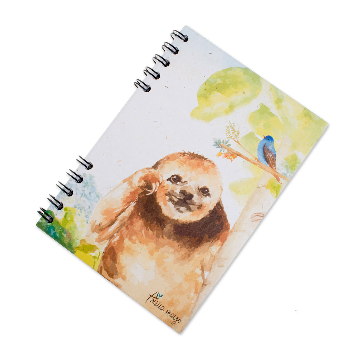 UNDISCOVERED Artisan Box | Signed Sloth-Themed Paper Journal from Costa ...