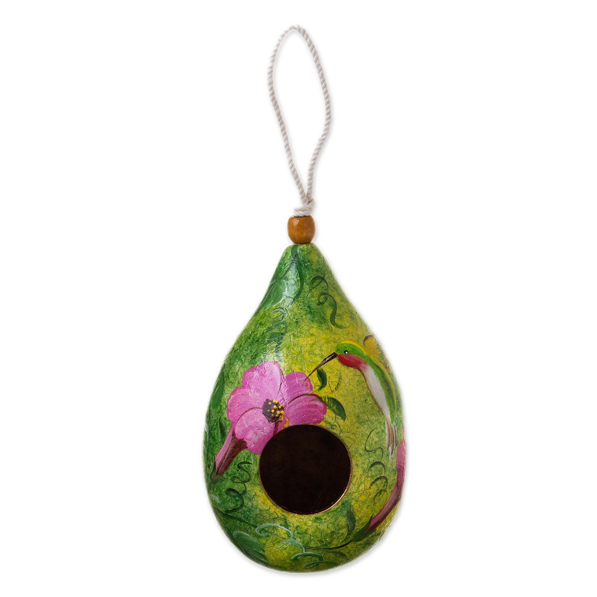 UNDISCOVERED Artisan Box | Hummingbird-Themed Green Dried Gourd Bird ...